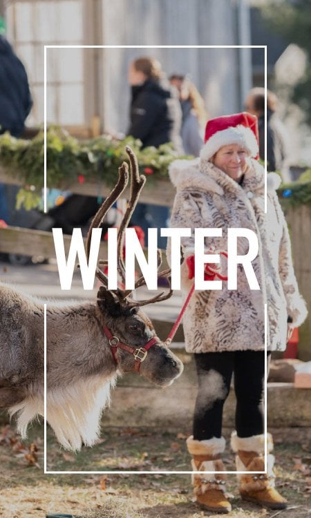 Places to Eat & Drink - Restaurants in Amana, IA | Amana Colonies