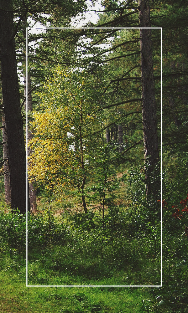 Amana Colonies Activities - Things to Do in Amana, IA | Amana Colonies